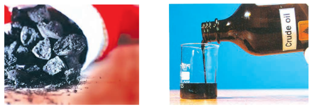 KSEEB Class 10 SSLC Biology Chapter 6 Management of Natural Resources ...