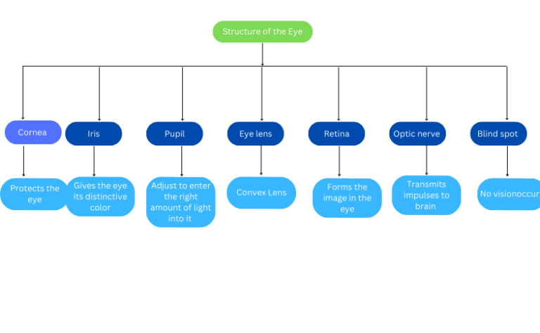 KSEEB Solutions For Class 8 Science Chapter 16 Light – Learn KSEEB