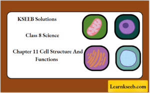 KSEEB Solutions For Class 8 Science Chapter 11 Cell Structure And ...