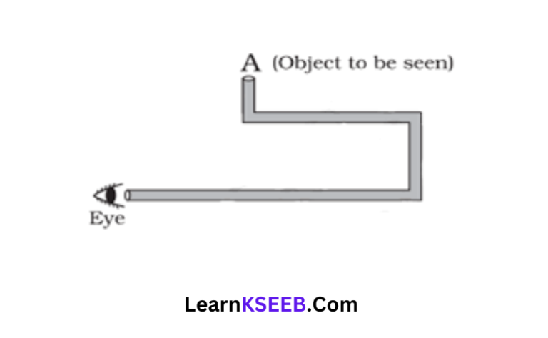 KSEEB Solutions For Class 8 Science Chapter 16 Light – Learn KSEEB