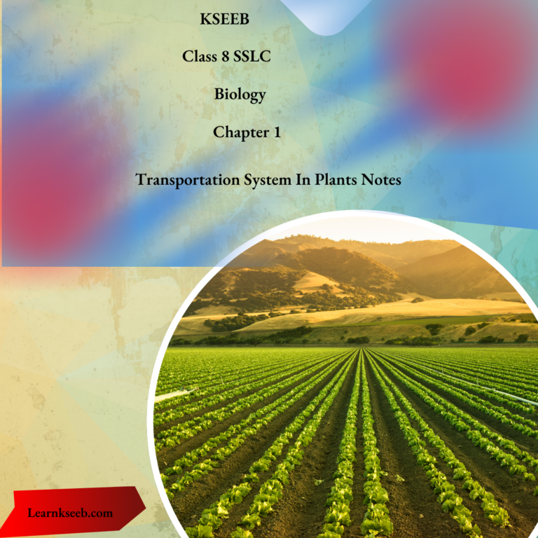 KSEEB Class 8 SSLC Biology Chapter 1 Transportation System in Plants ...