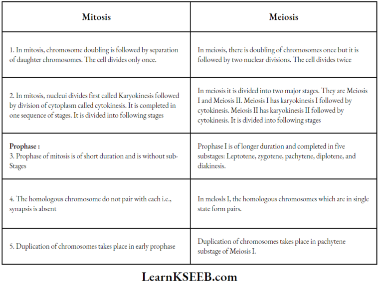 Karnataka Board Class 11 Biology Chapter 10 Cell Cycle And Cell ...
